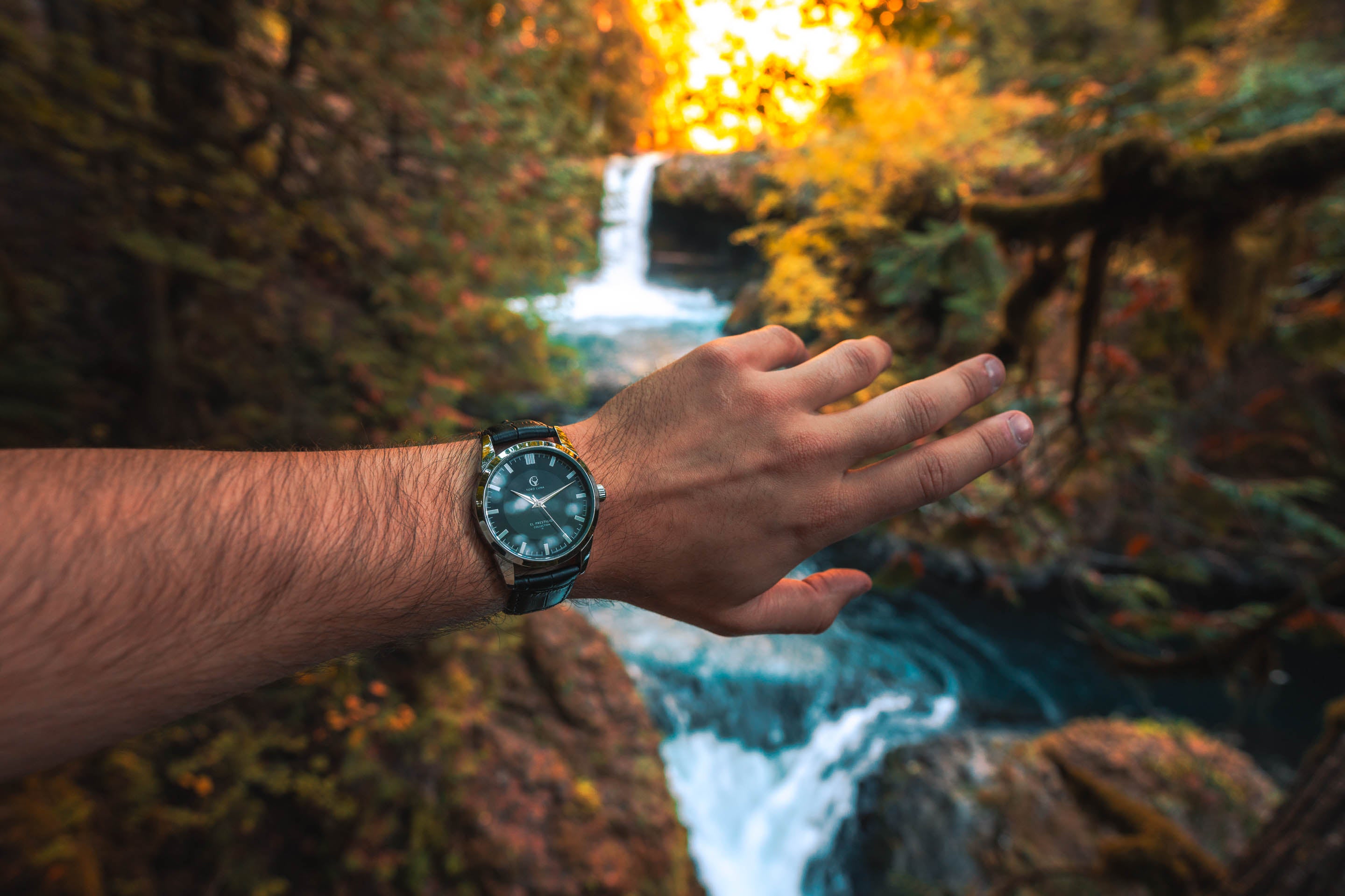Toro Luna Watches | Elevate Your Style with Exquisite Timepieces