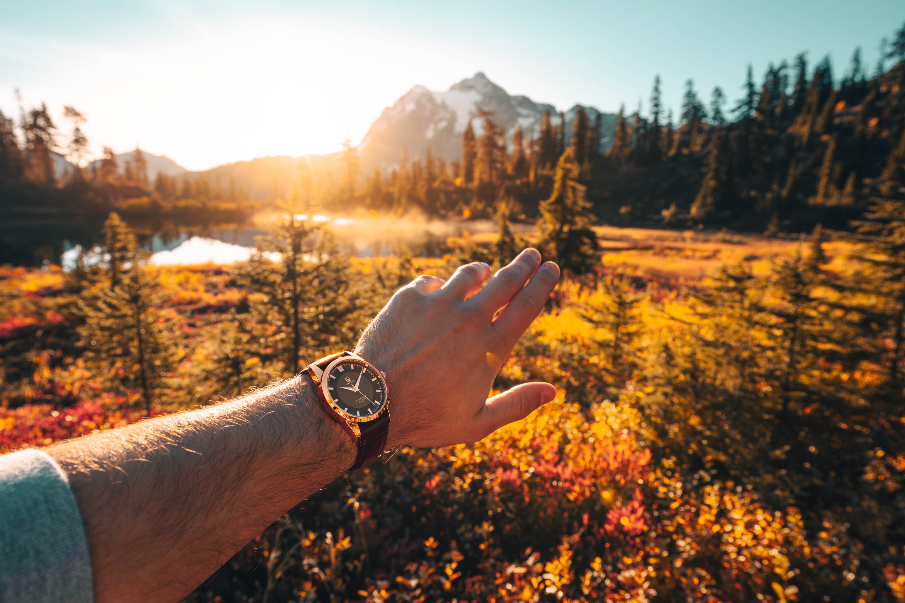 Toro Luna Watches | Elevate Your Style with Exquisite Timepieces