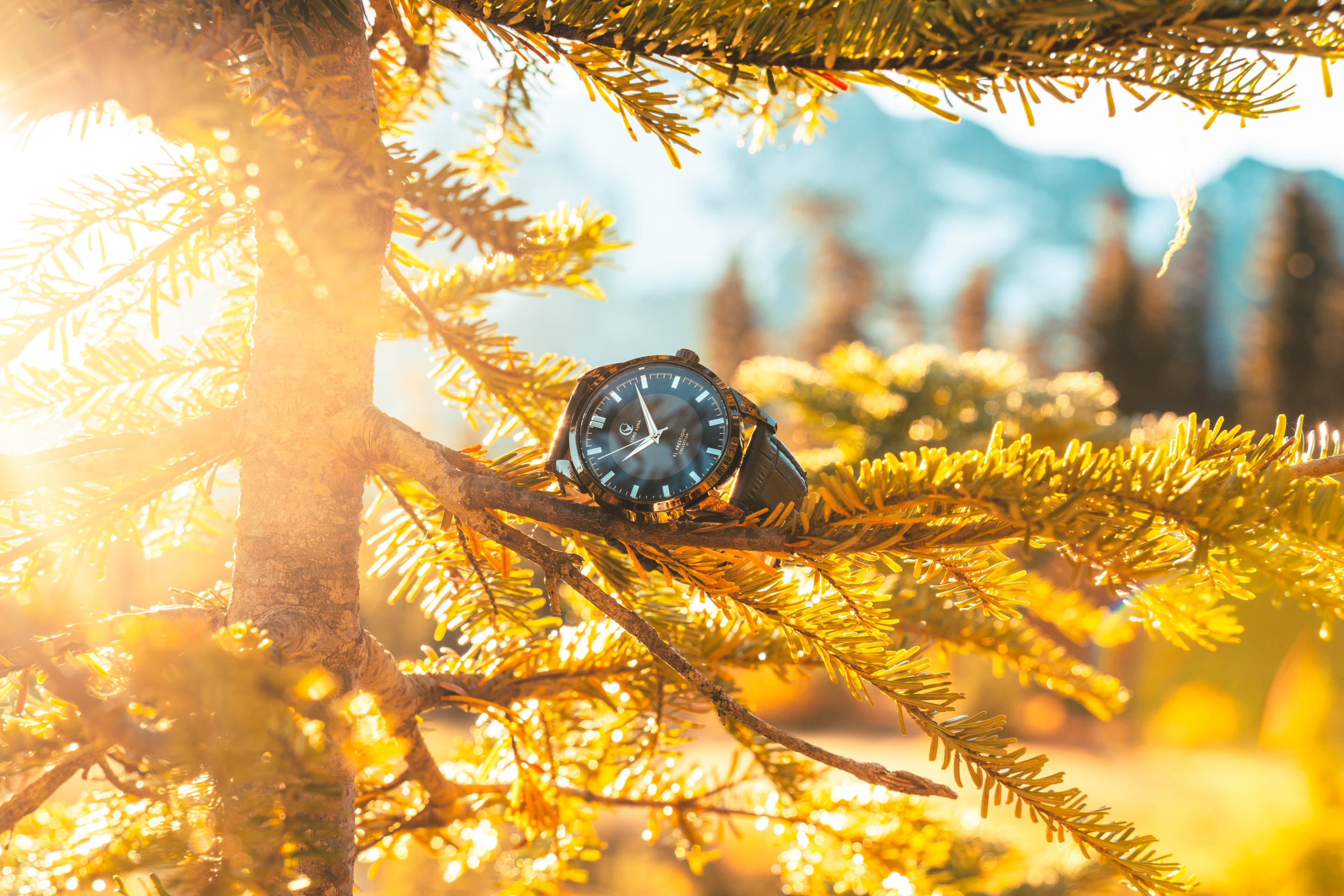 Toro Luna Watches | Elevate Your Style with Exquisite Timepieces