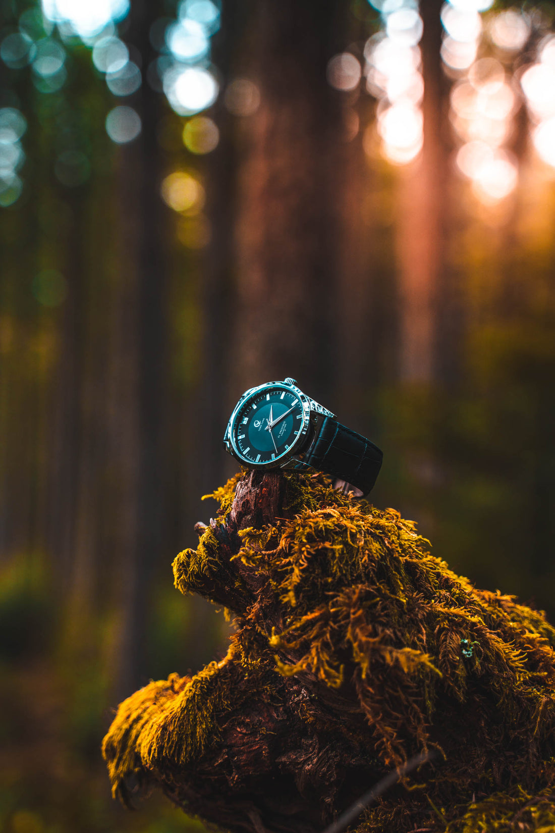 Toro Luna Watches | Elevate Your Style with Exquisite Timepieces