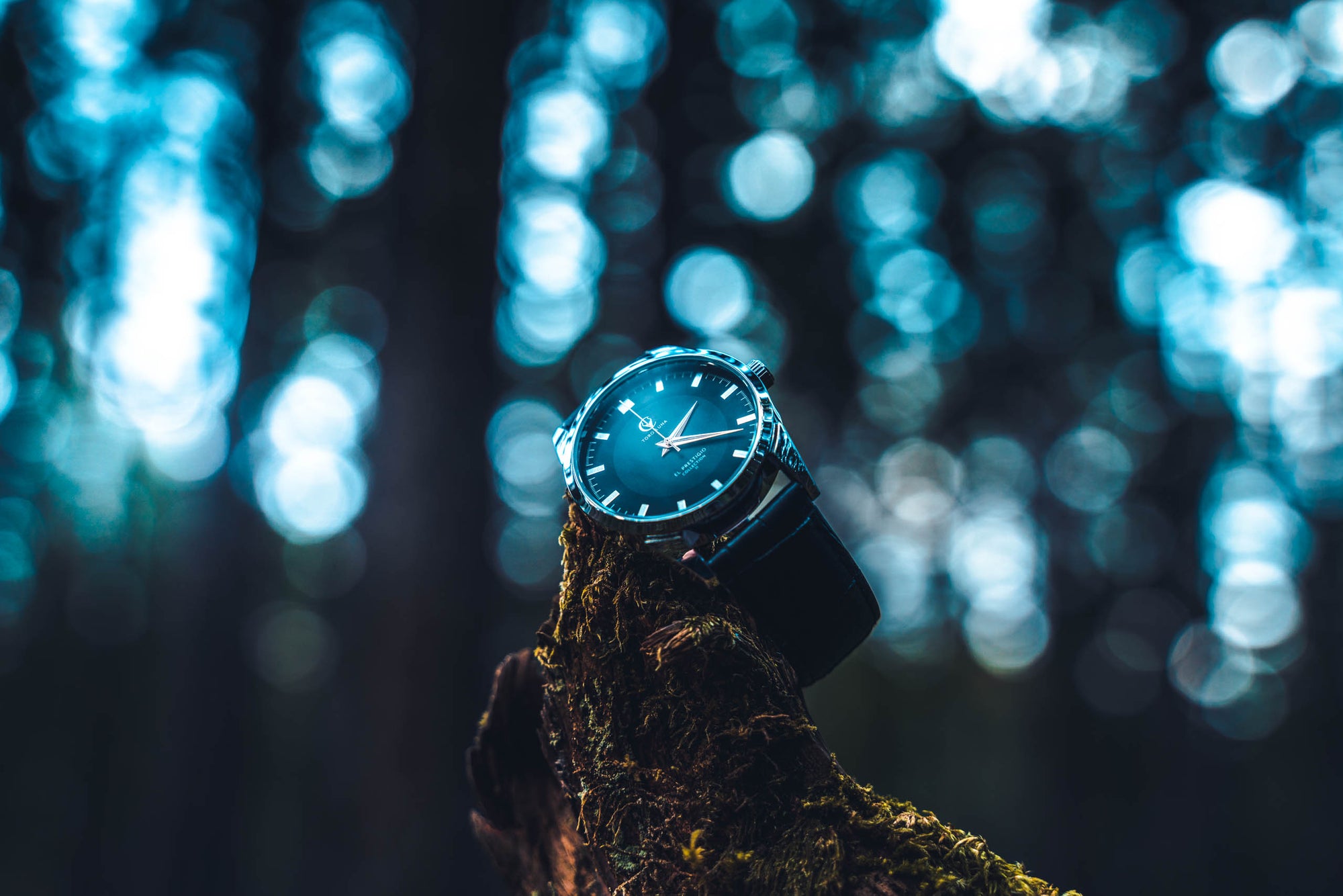 Toro Luna Watches | Elevate Your Style with Exquisite Timepieces