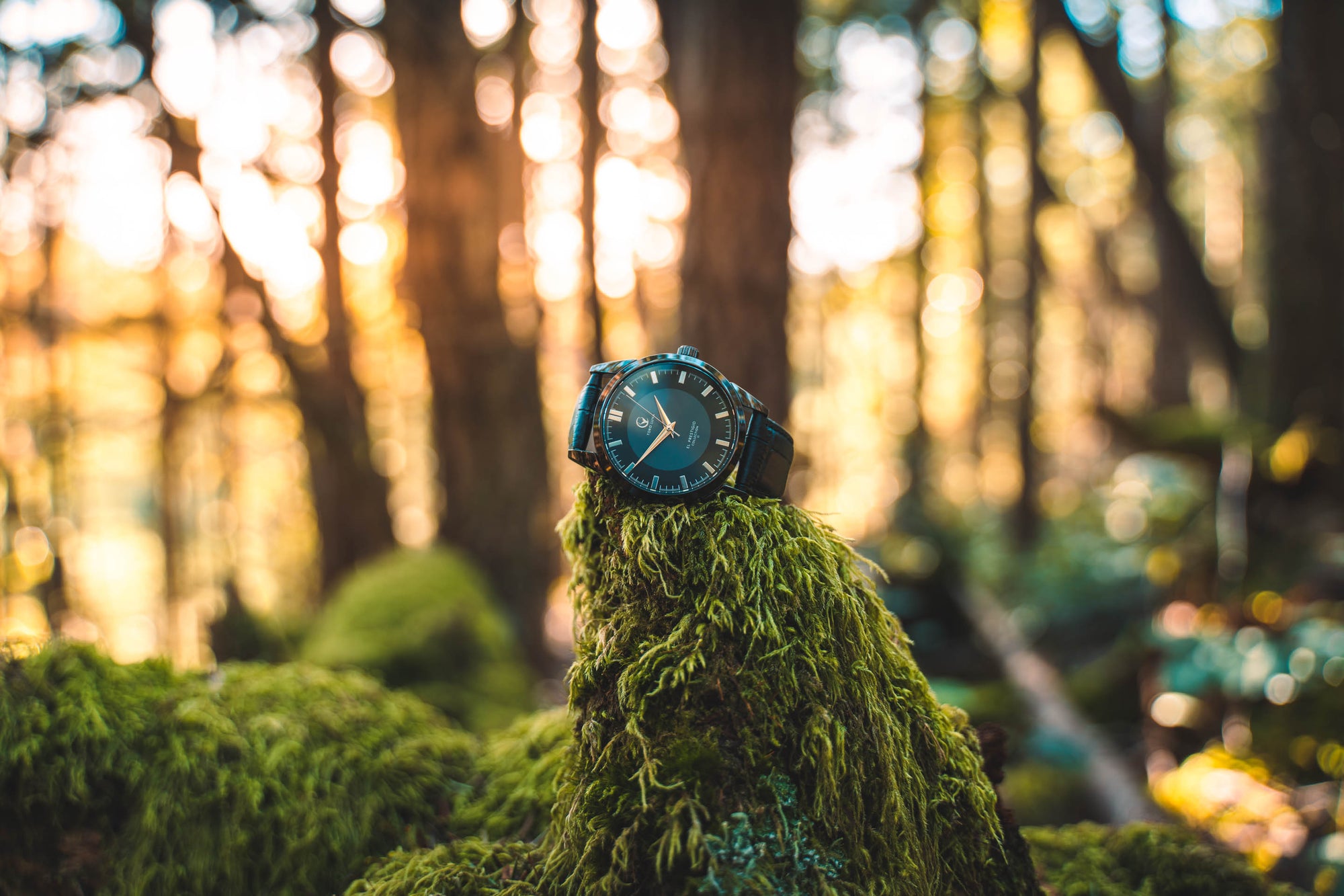 Toro Luna Watches | Elevate Your Style with Exquisite Timepieces