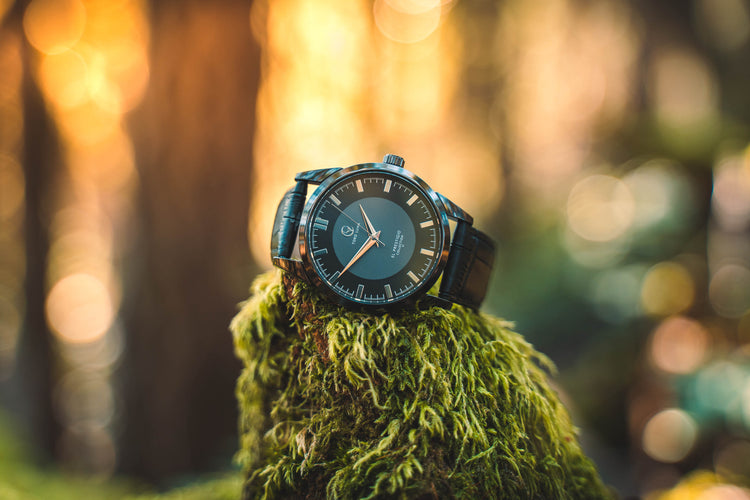 Toro Luna Watches | Elevate Your Style with Exquisite Timepieces