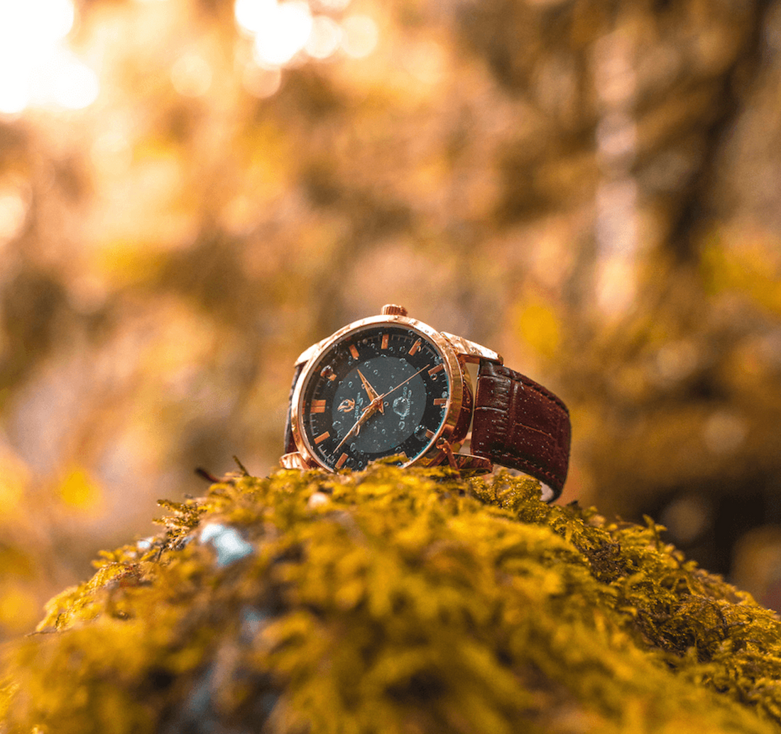 Toro Luna Watches | Elevate Your Style with Exquisite Timepieces